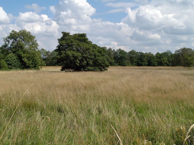 Landschappen